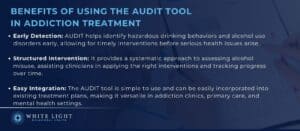 AUDIT Alcohol Assessment: Description, Scoring, Usage, Benefits And ...