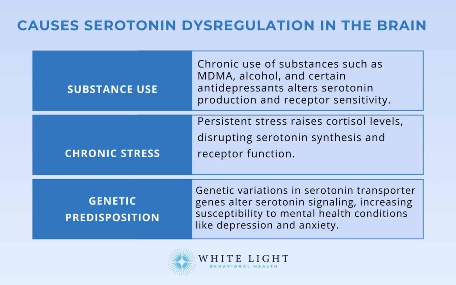 Serotonin: Function, Relation With Addiction, Dysregulation Effects ...