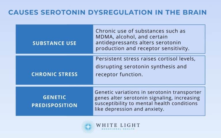 Serotonin & Addiction: Function, Risks & Recovery Guide
