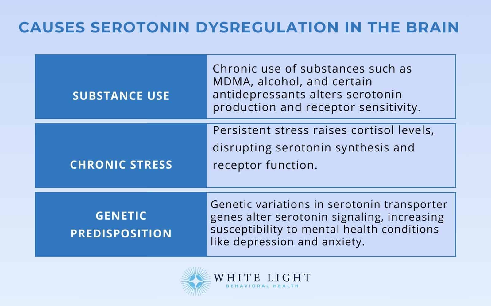 Serotonin: Function, Relation With Addiction, Dysregulation Effects, And Recovery