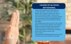 Alcohol Withdrawal: Definition, Causes, Signs And Symptoms, Stages ...