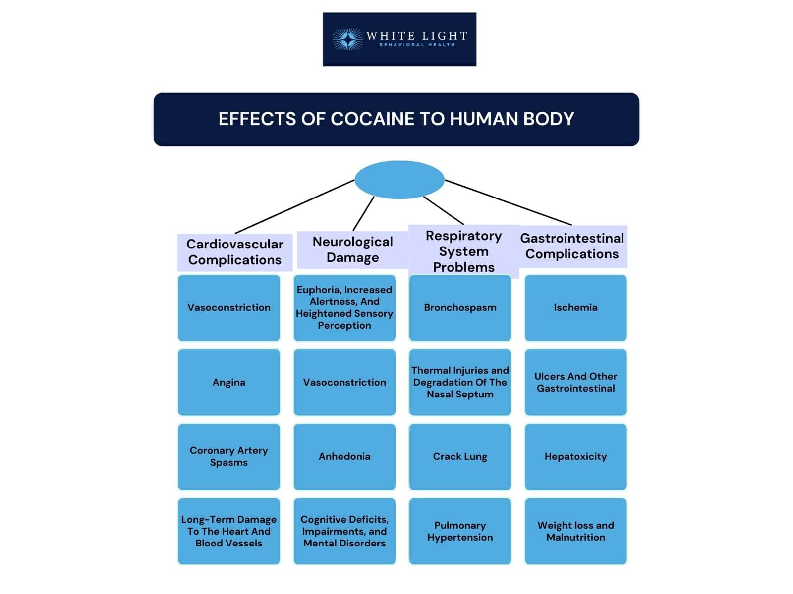 Cocaine's Effects On The Brain: Short, Intermediate, And Long-Term