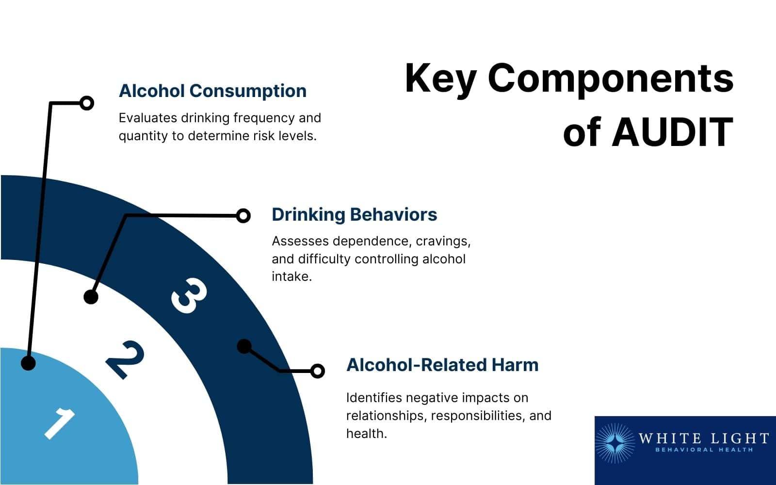 Alcohol Use Disorders Identification Test (AUDIT): Definition ...