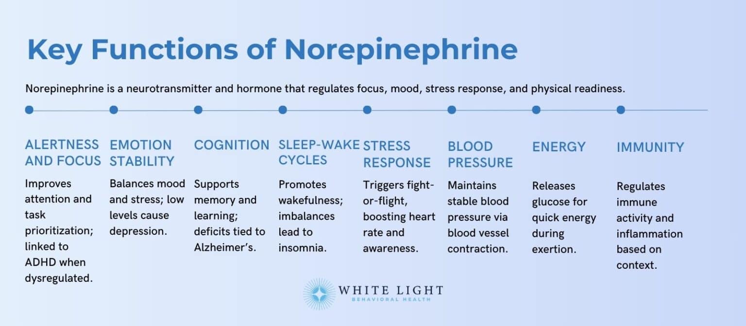 Norepinephrine: Functions, Relation With Addiction, Dysregulation ...