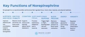 Norepinephrine: Functions, Relation With Addiction, Dysregulation ...