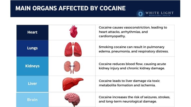 Cocaine's Effects On The Brain: Long-Term Damage