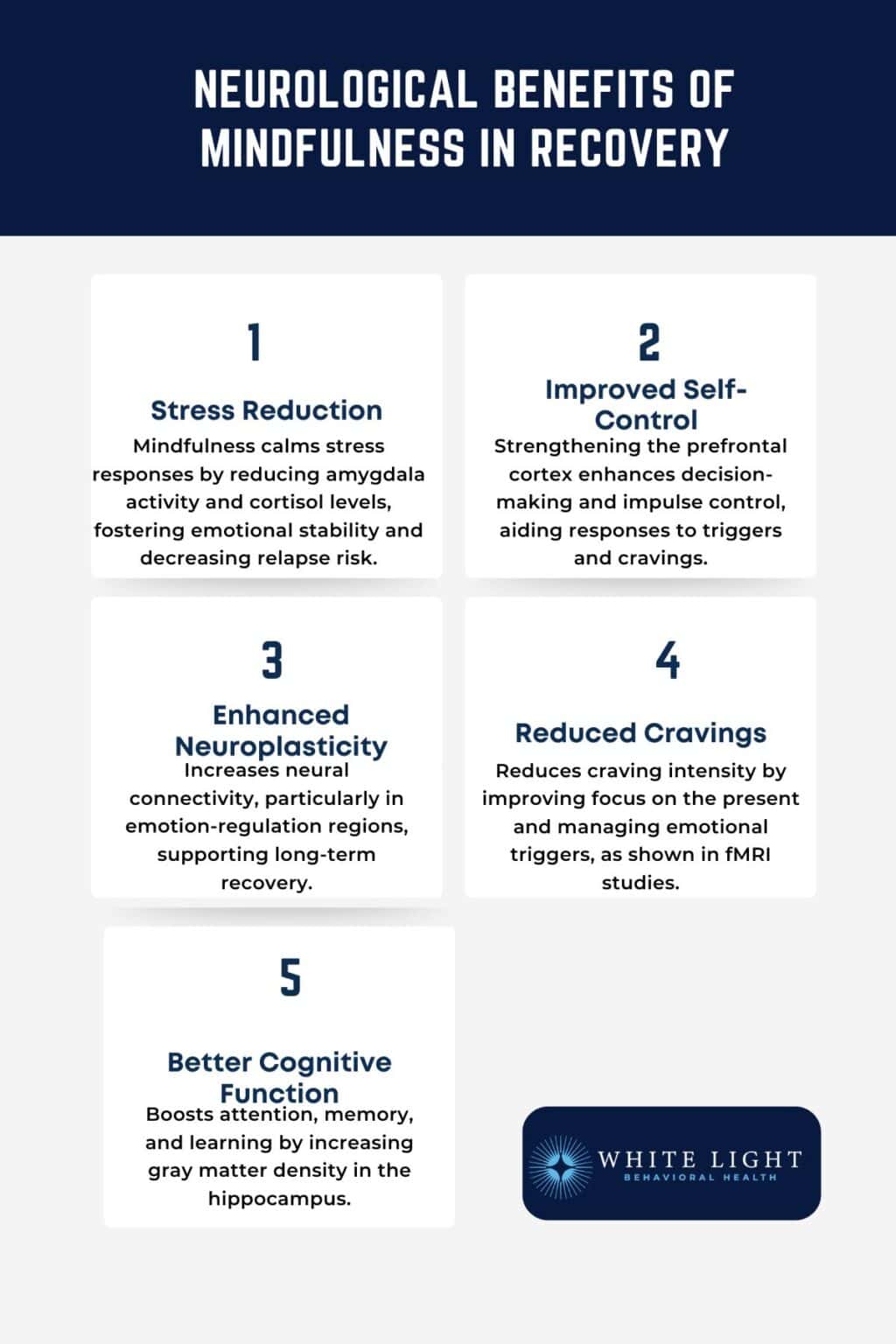 The Brain Of Addiction Vs. Normal Brain: Neurological Impact Of ...