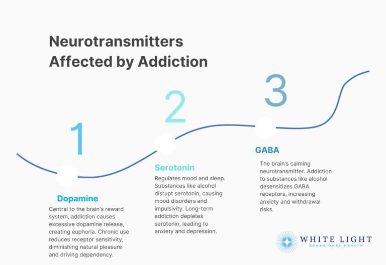 The Brain Of Addiction Vs. Normal Brain: Neurological Impact Of ...