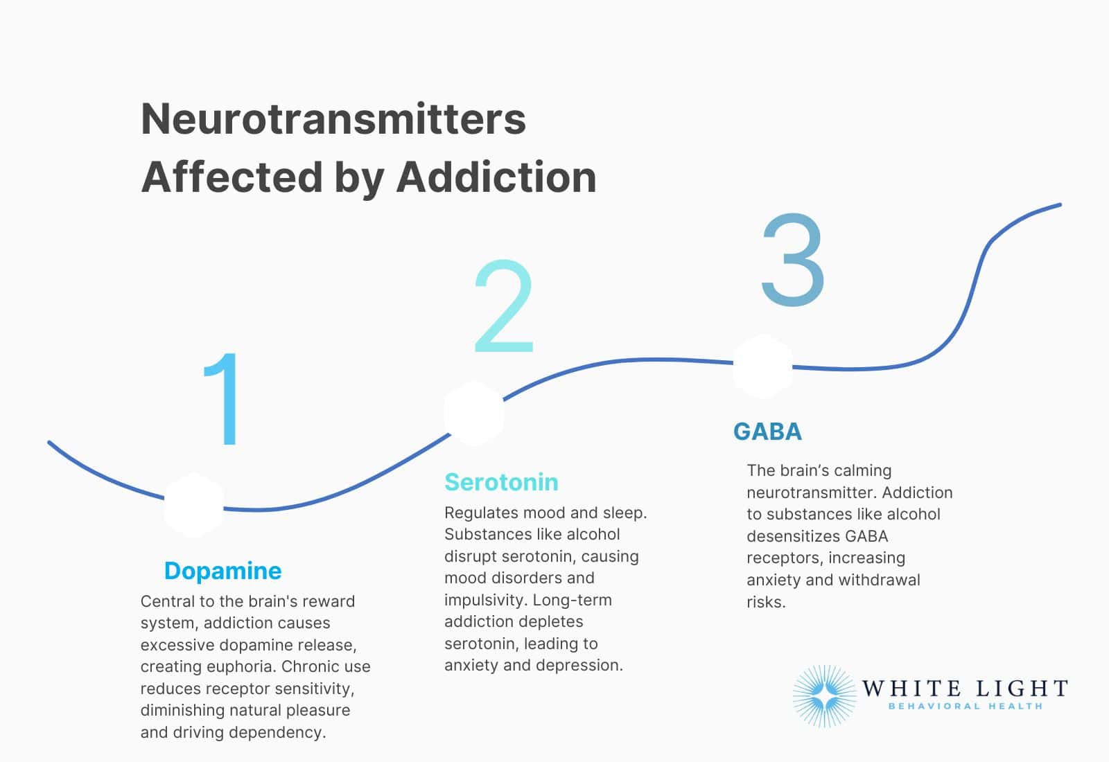 The Brain Of Addiction Vs. Normal Brain: Neurological Impact Of ...