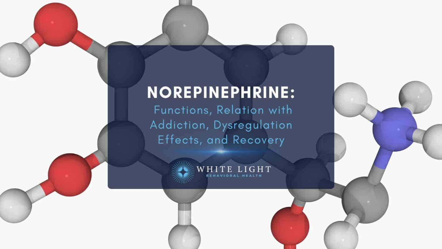 Norepinephrine: Functions, Relation With Addiction, Dysregulation ...