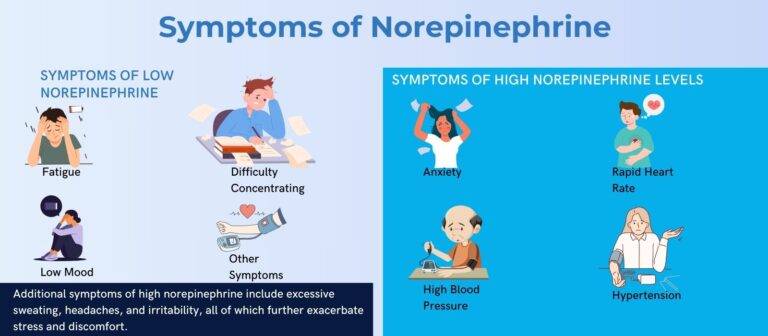 Norepinephrine: Functions, Relation With Addiction, Dysregulation ...
