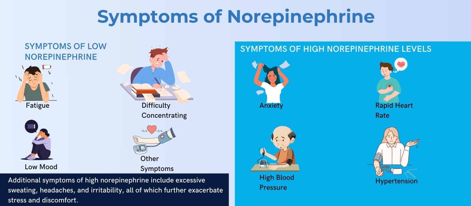 Norepinephrine: Functions, Relation With Addiction, Dysregulation ...
