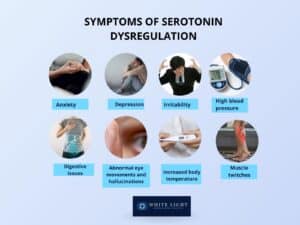Serotonin & Addiction: Function, Risks & Recovery Guide