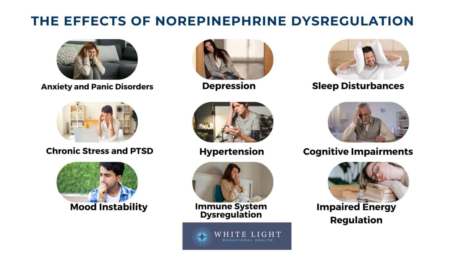 Norepinephrine: Functions, Relation With Addiction, Dysregulation ...