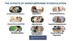 Norepinephrine: Functions, Relation With Addiction, Dysregulation ...