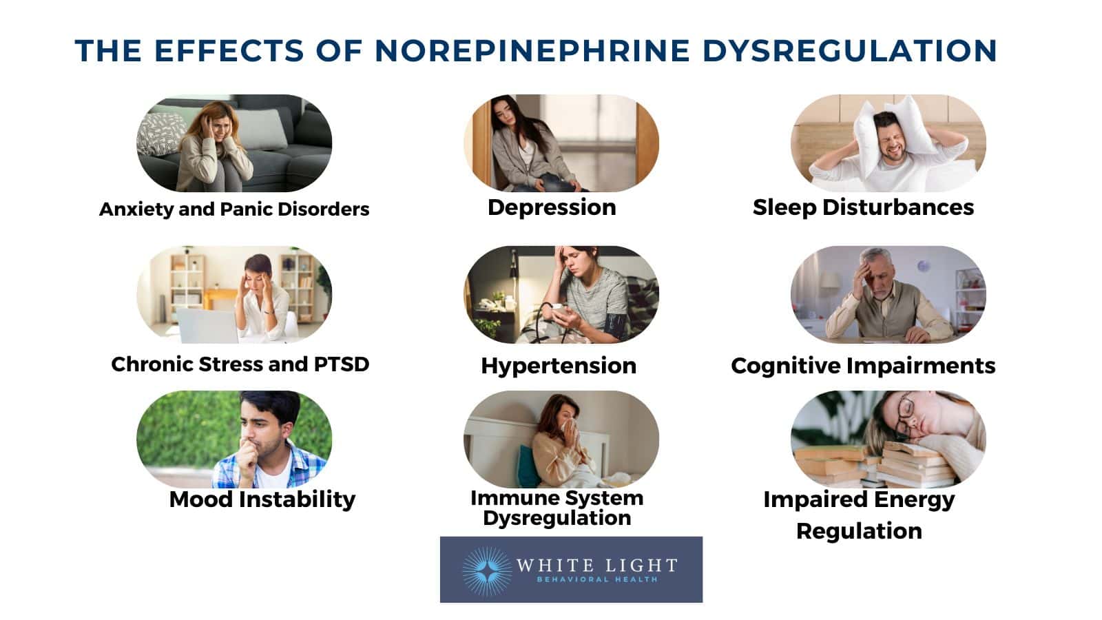 Norepinephrine: Functions, Relation With Addiction, Dysregulation Effects, And Recovery