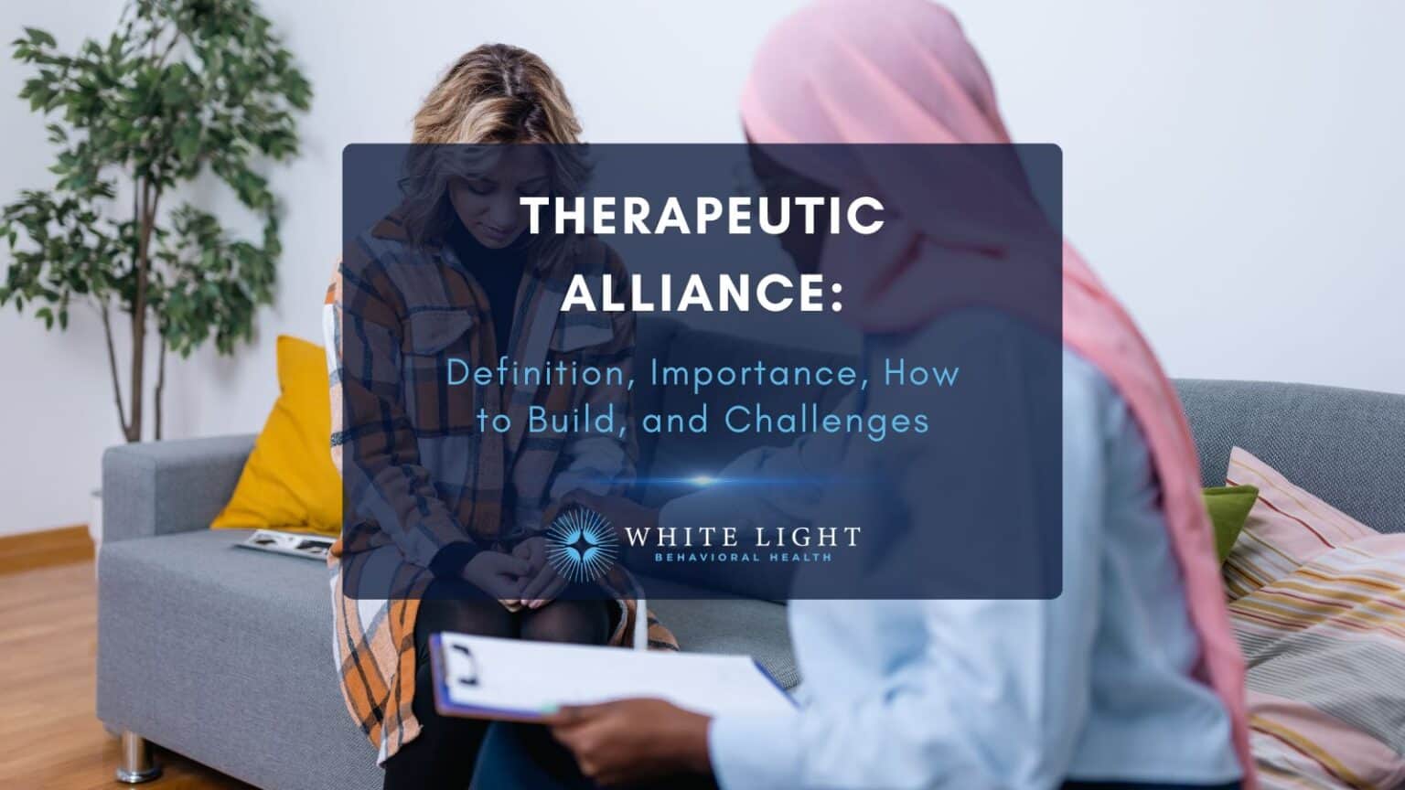 Therapeutic Alliance: Definition, Importance, How To Build, And Challenges