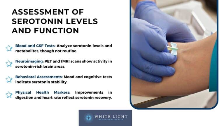 Serotonin & Addiction: Function, Risks & Recovery Guide