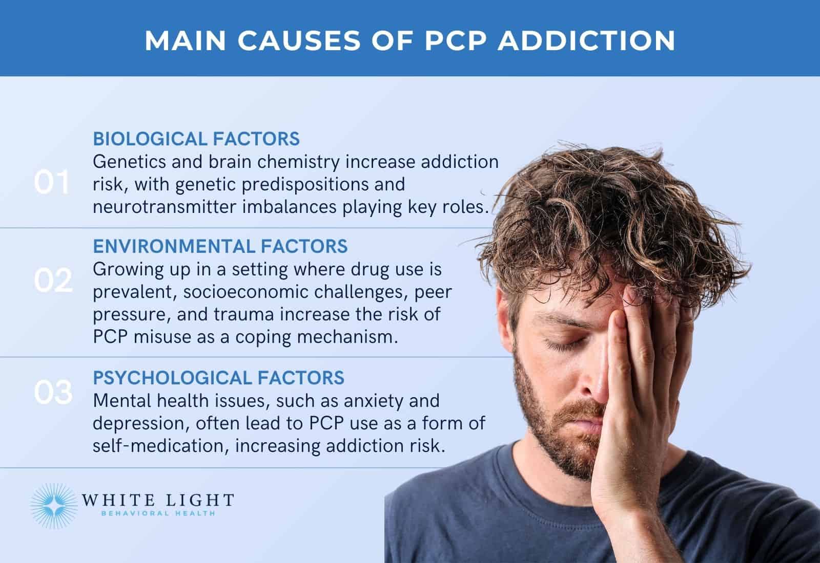 Phencyclidine (PCP) Addiction: Signs, Causes, Effect, Withdrawal ...